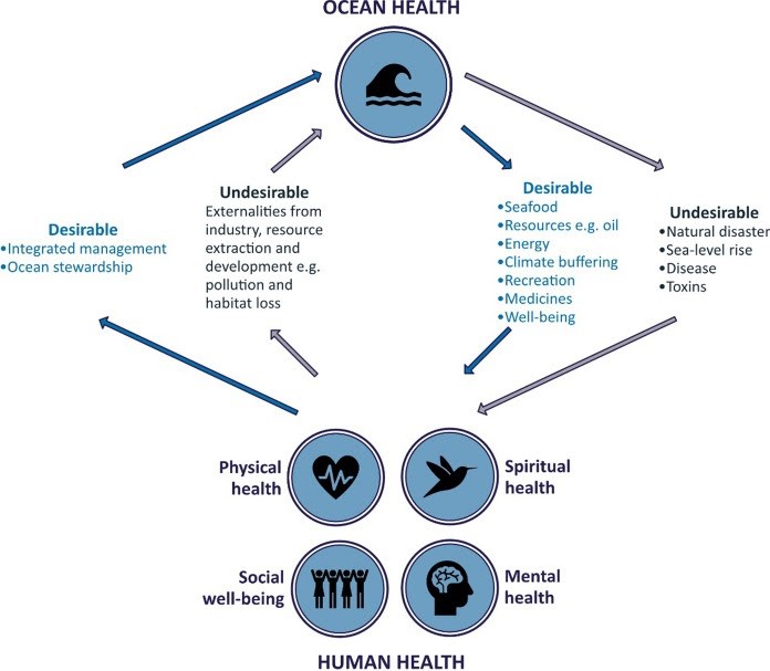 Turning the Tide - Public Health Post