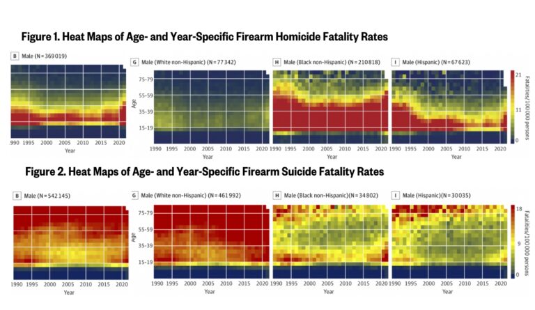 Alarmingly Armed: Trends in Firearm Fatalities - Public Health Post